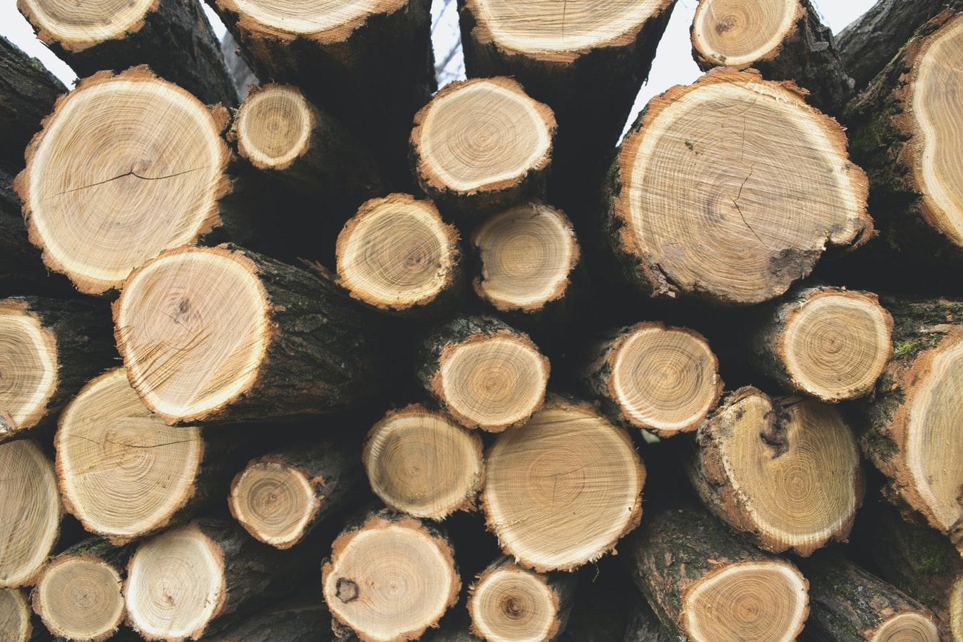 Why Should You Use The Timber In Building Construction? - Timber